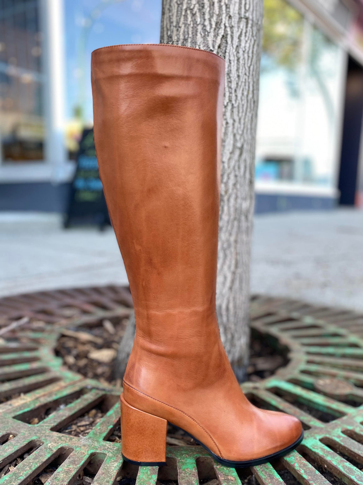 Women's Shoes | Walk Rite Shoes | Shop Online | Canada